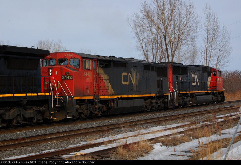 CN J874 with 2442, C40-8cm